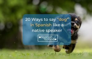 20 Ways to say “dog” in Spanish like a native speaker - SpanishToMind
